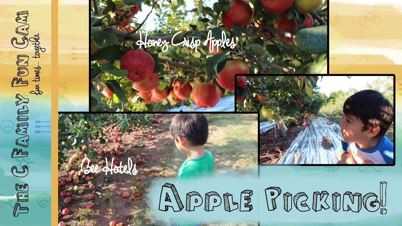 Apple Picking & Bee Hotels. - YouTube