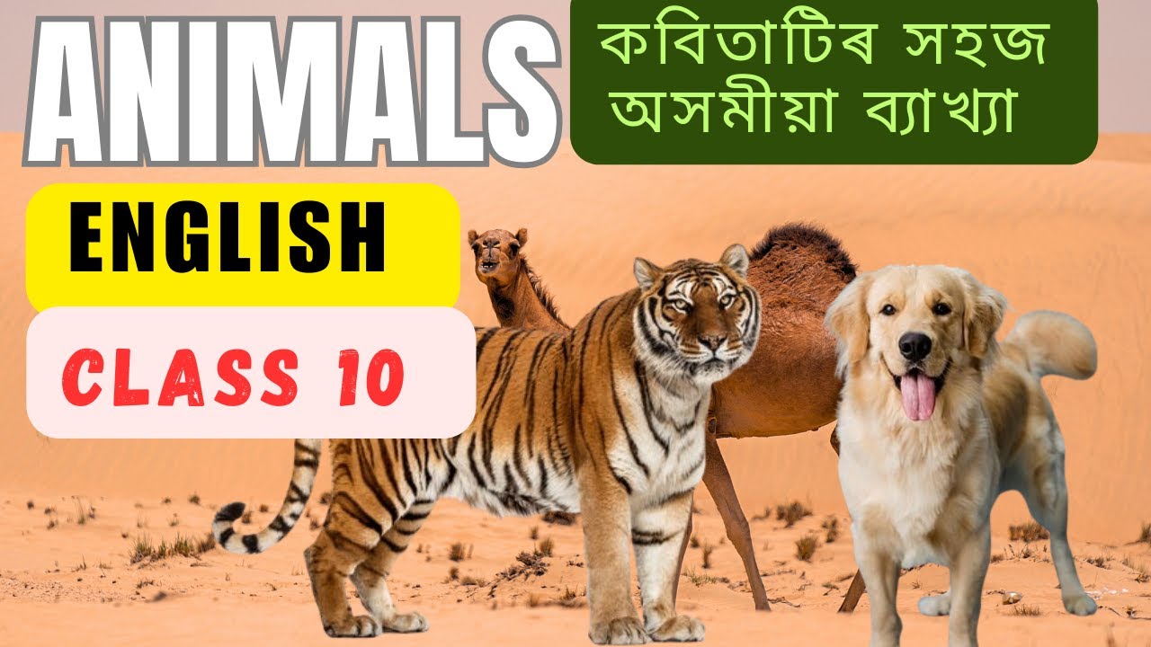 Animals Explained in Assamese | দশম শ্ৰেণীৰ Animals কবিতাটিৰ অসমীয়াত ...