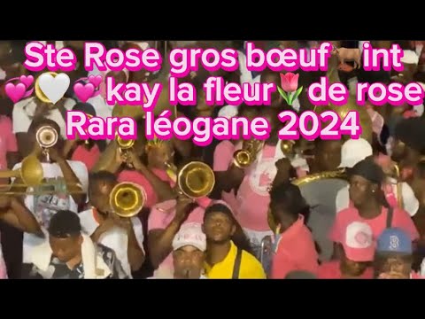 Ste Rose gros bœuf 🐂 int💞🤍💞kay la fleur 🌷 de Rose rara léogane 2024 ...