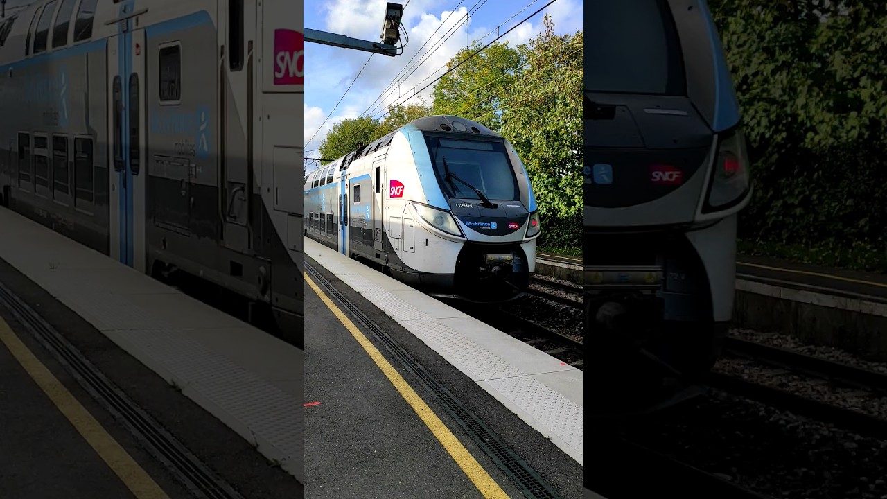 Passage d'un Regio2N sur le RER D sud #train#paris#railway # ...