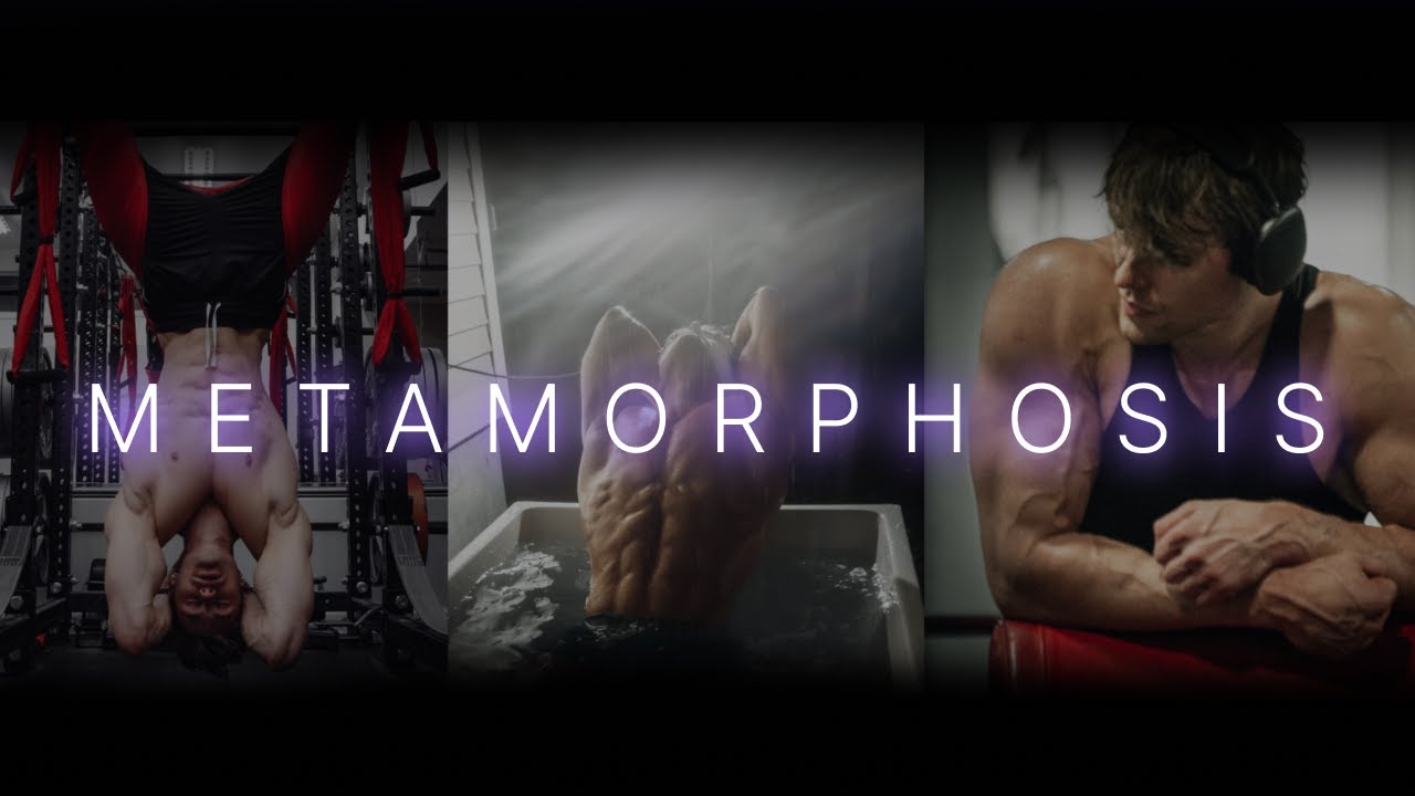 DAVID LAID | METAMORPHOSIS | AESTHETIC | FITNESS - YouTube