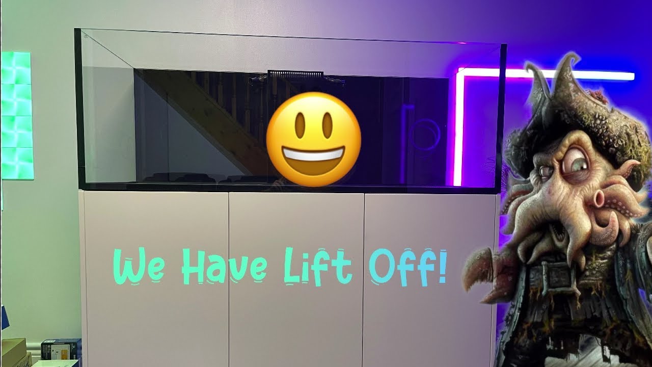 180g Reef Tank - Update - YouTube