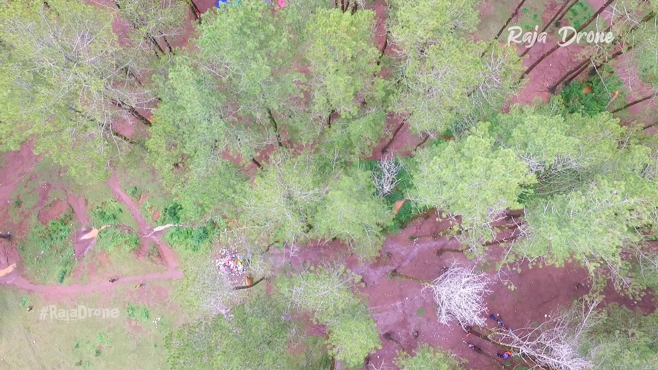 Hutan Pinus Lembanna 23 Februari 2020 #rajadrone - YouTube