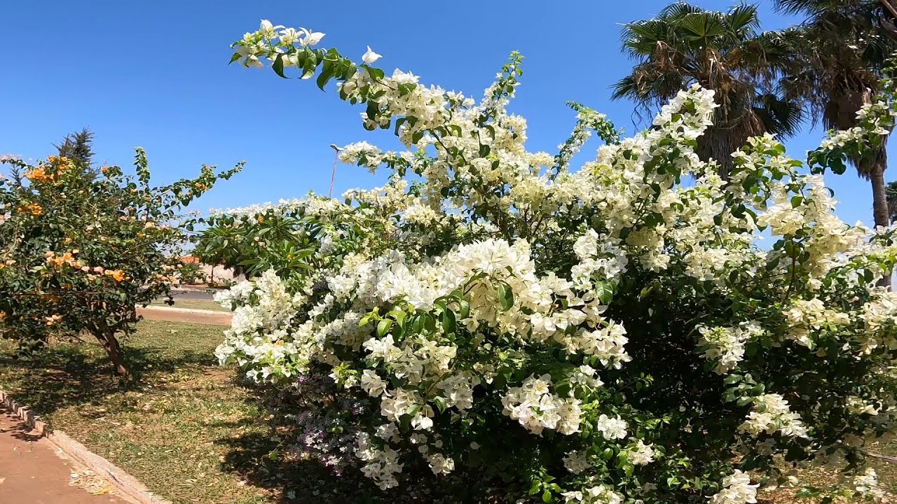 Cidade de General Salgado SP - YouTube