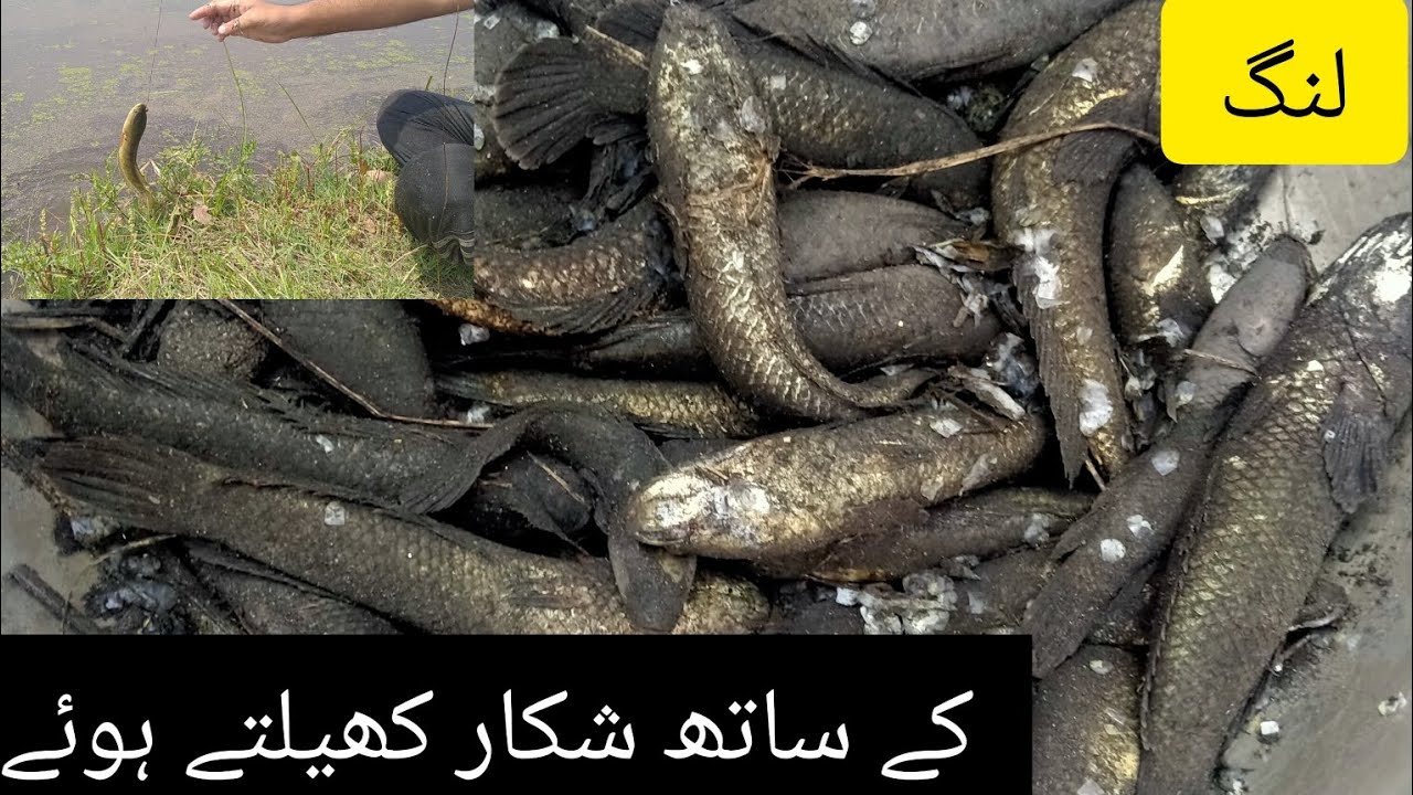 100 hoks fishing @ long door fishing - YouTube
