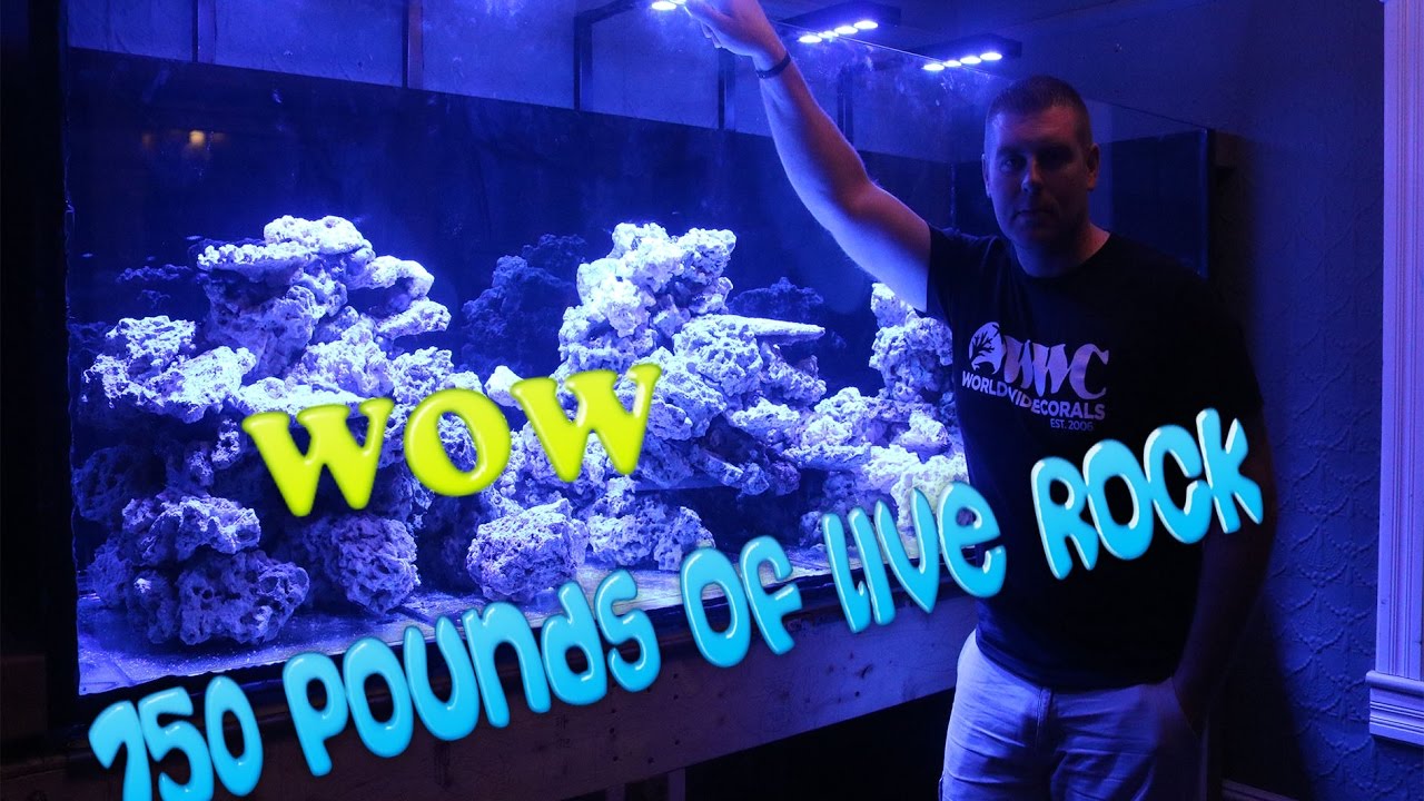Aquascape change with 750 pounds of Marco Rock tank tour. - YouTube