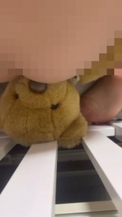 teddy bear farting torture - YouTube