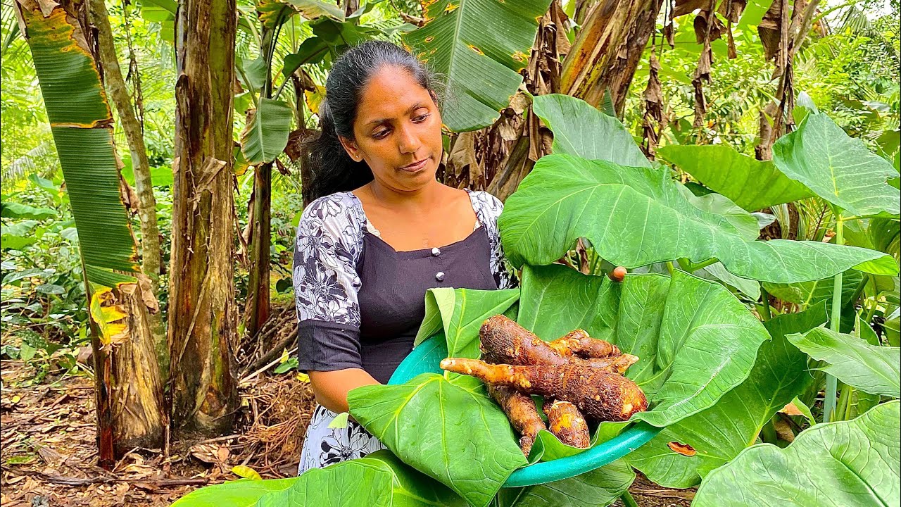 Kiri Ala hunt and cooking in a village kitchen | village cooking life # ...