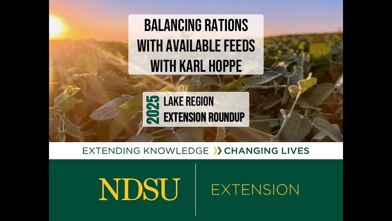 Balancing Rations with Available Feeds - YouTube