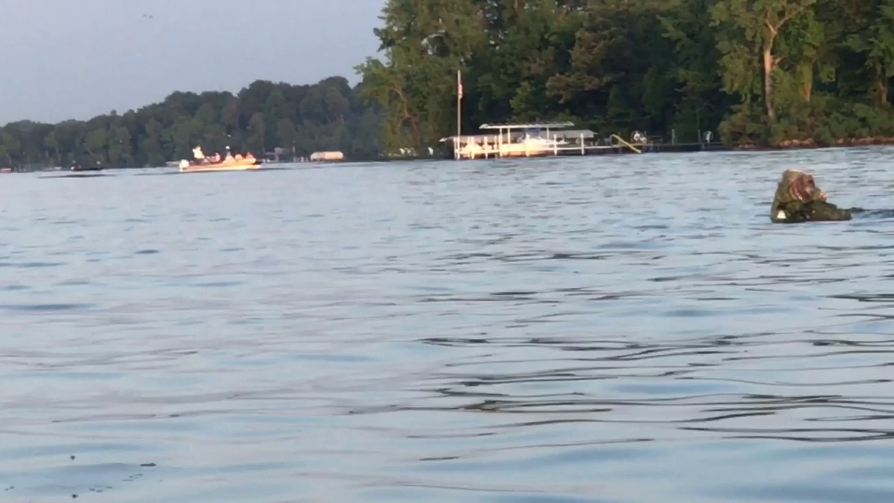 Sea Monster Lake Minnetonka Minnesota - YouTube