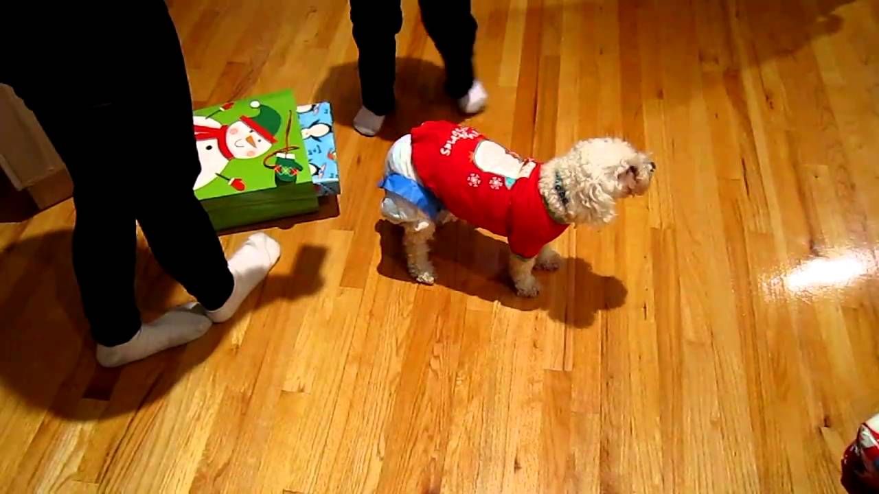 Dookie's Diaper - YouTube