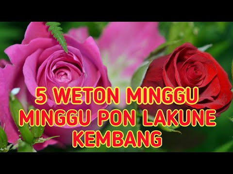 5 Weton Minggu - Minggu Pon Lakune Kembang