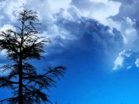 Şiir Gibisin - Ahmet Ormancı