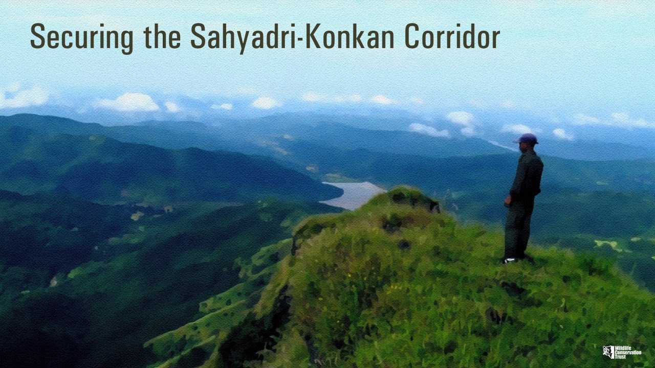 Securing the Sahyadri-Konkan Corridor - A WCT Project Documentary - YouTube