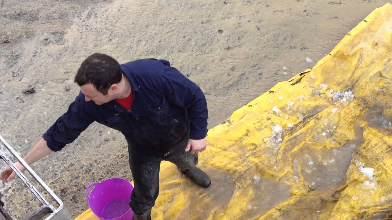 Extreme Ice Water Challenge - YouTube