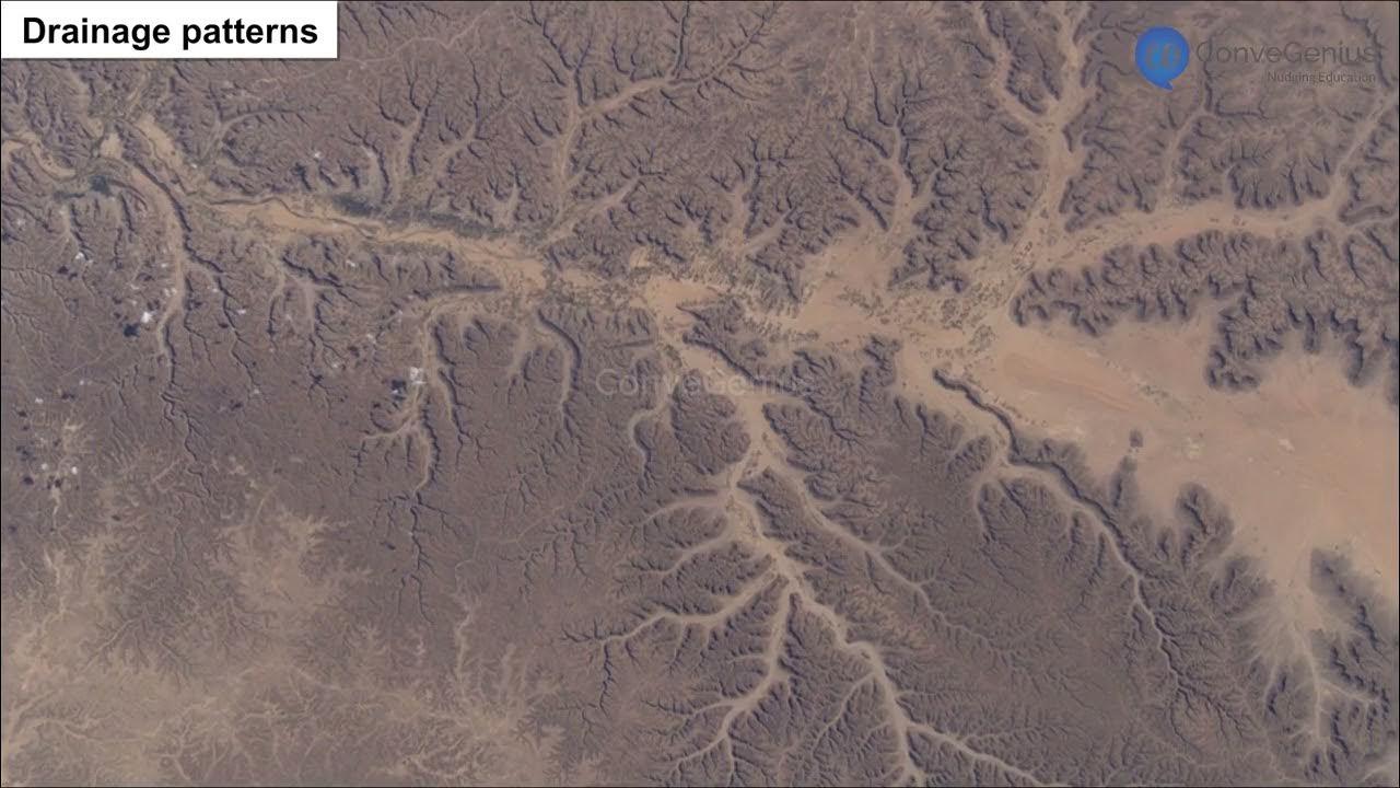 Drainage system | Class 9 | Geography - YouTube