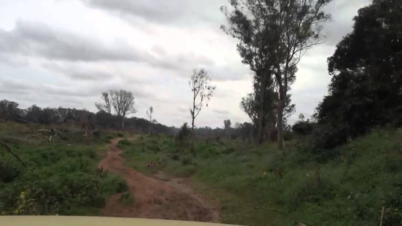 Bush Bashing QLD - YouTube
