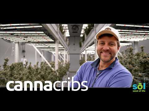 From Basement Grows to a Montana Cannabis Empire | Seed of Life
