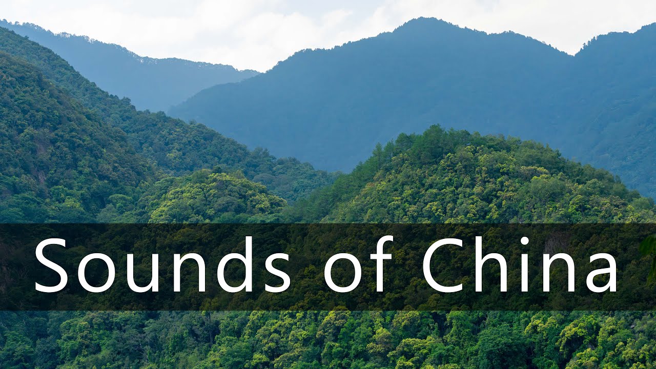 Wild China sounds - Dawn chorus in the mountain forests of Yunnan - YouTube
