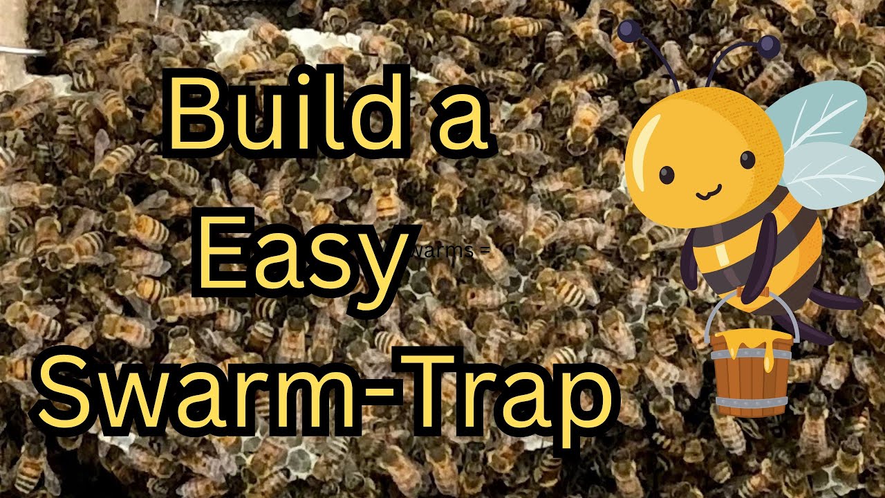 Easy swarm trap : A step by step tutorial on building a successful ...