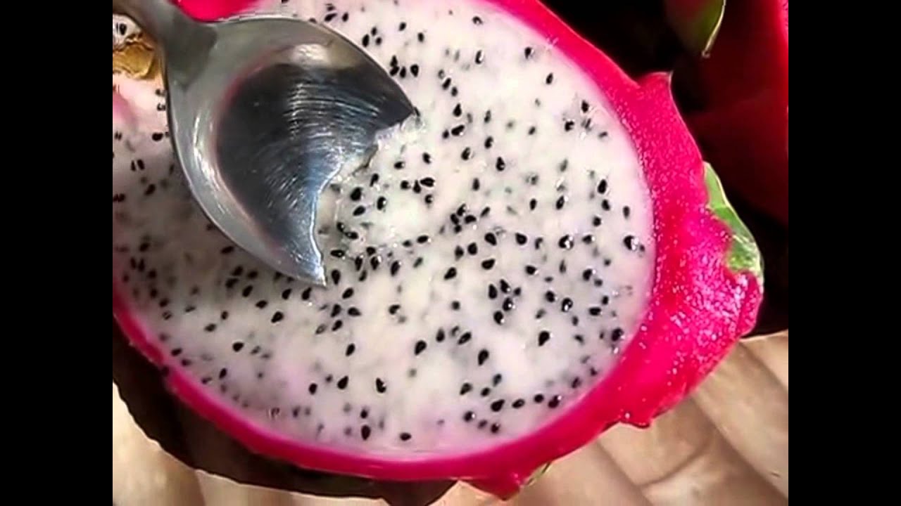 SAGA FRUITS EXOTIQUES : Banane Plantain, Coco Jeune, Fruit du Dragon ...