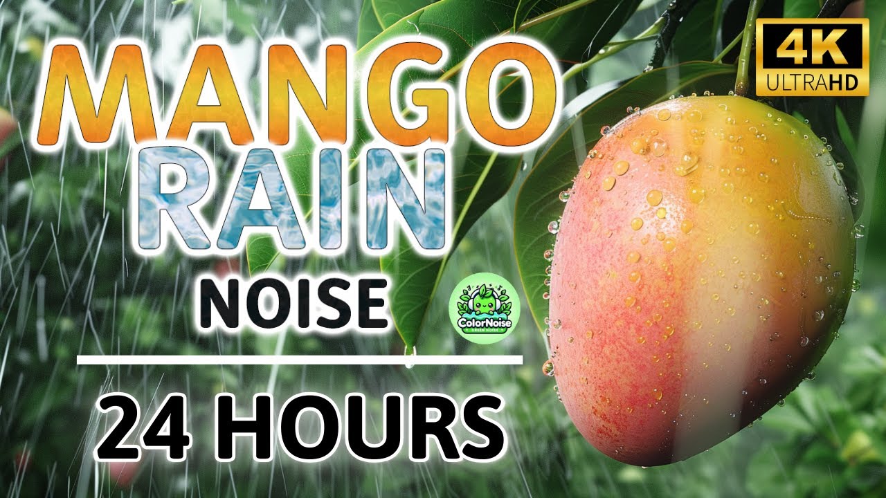 Mind-numbing Mango Rain Noise | 24 Hours | BLACK SCREEN | Study, Sleep ...