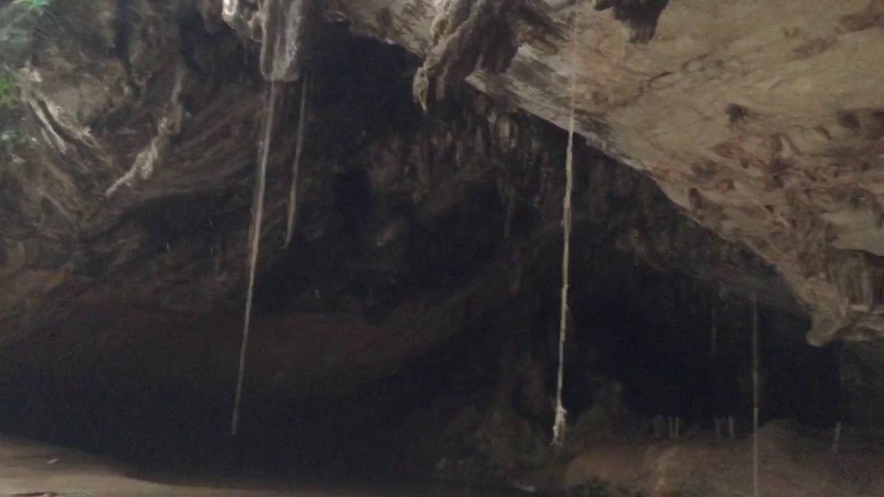 Himalayan swiftlets bij Cave Lod, Thailand - YouTube