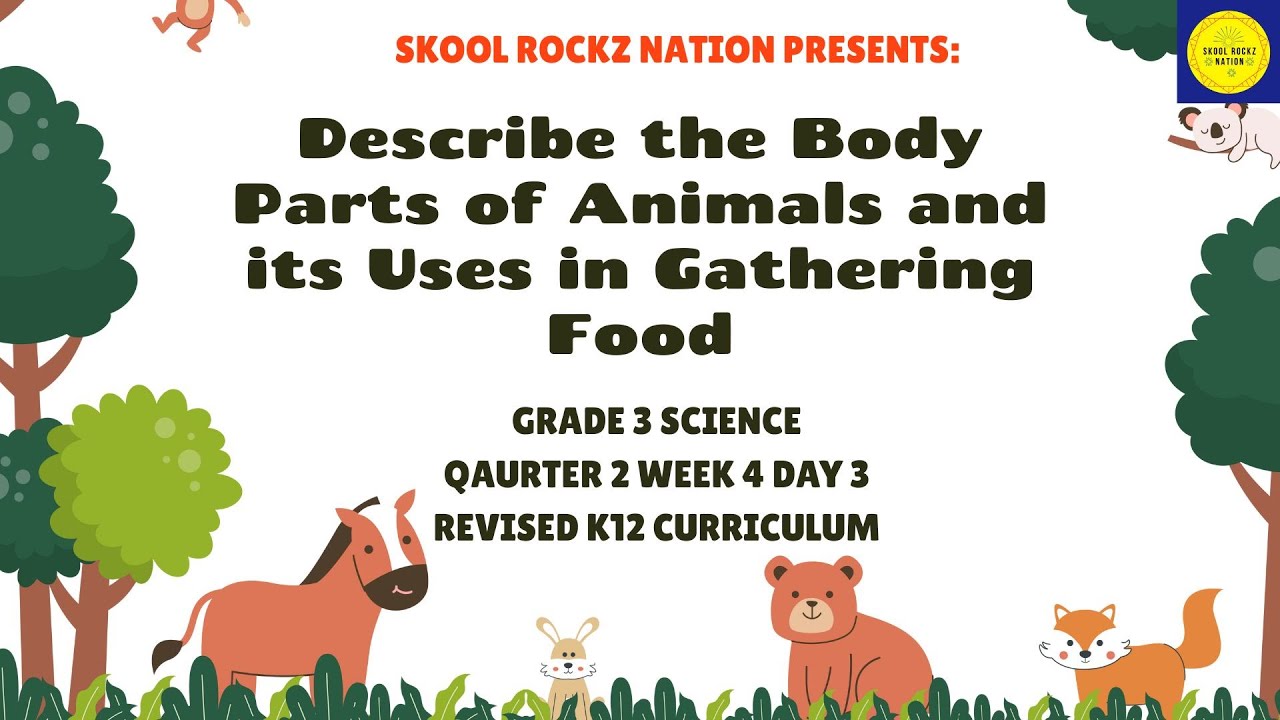 Describe the Body Parts of the Animals and its Uses in Gathering Food ...