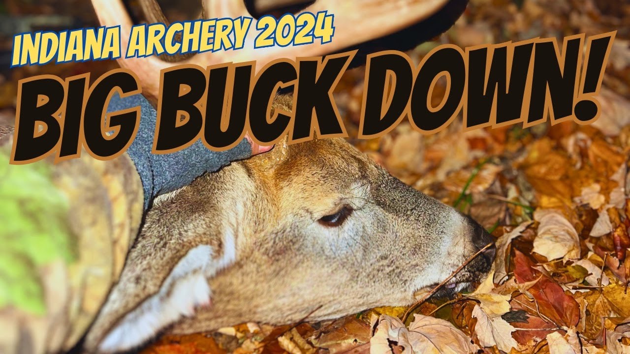 Big Buck DOWN! Indiana Archery 2024 - YouTube