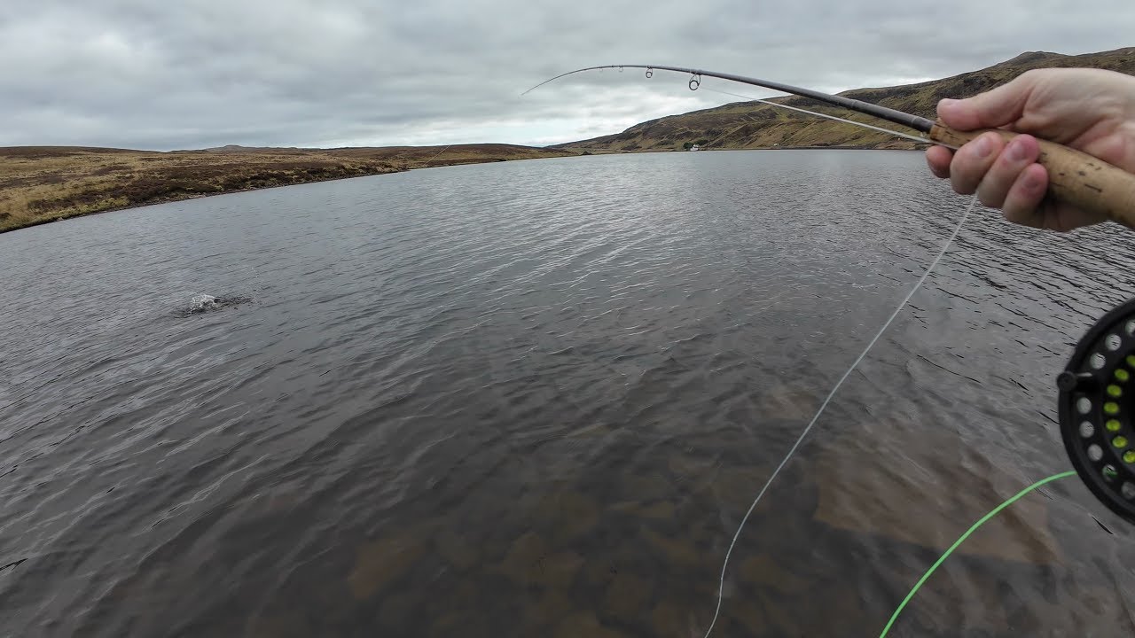 A great evenings fly fishing for wild brown trout on Loch Fada | Part 1 ...