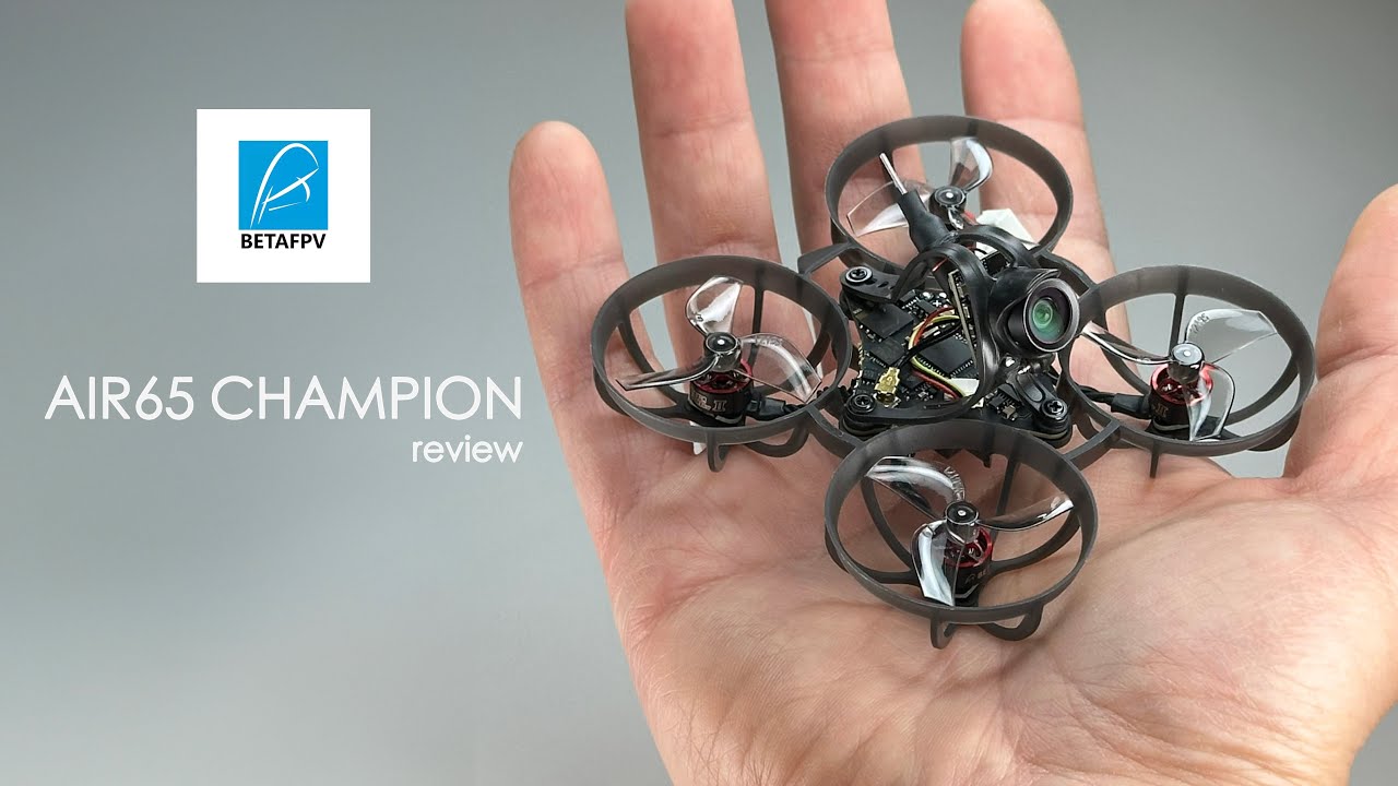 The New Limited Edition Air65 Champion Review! - YouTube