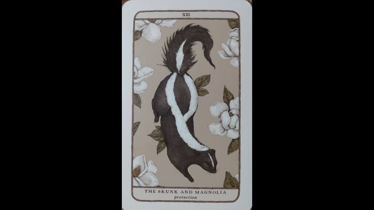 **💖🤗LOVE KNOWS NO FEAR💗🥰** | Collective Energy Reading - XXI SKUNK ...