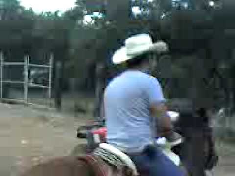 Oreja rajada vs la hondita - YouTube