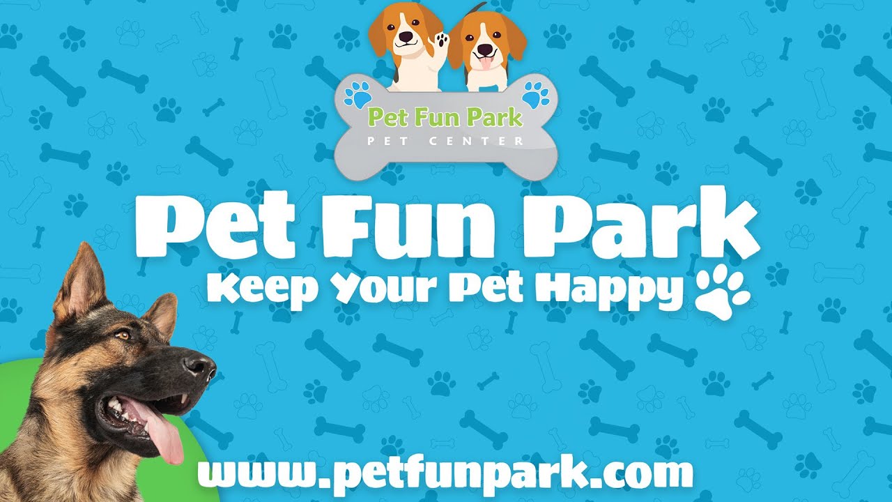 Pet Fun Park - YouTube