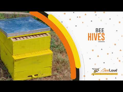 The queen excluder - Beelove Apiaries