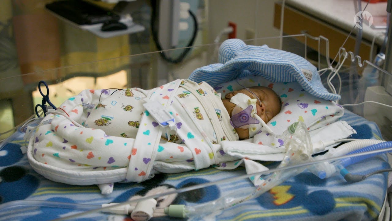 Skin to Skin Contact in the NICU: A Mother's Healing Touch - YouTube