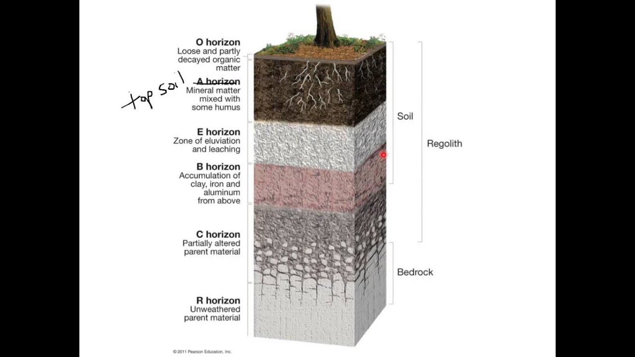 Soil Horizons YouTube soil-horizons-youtube