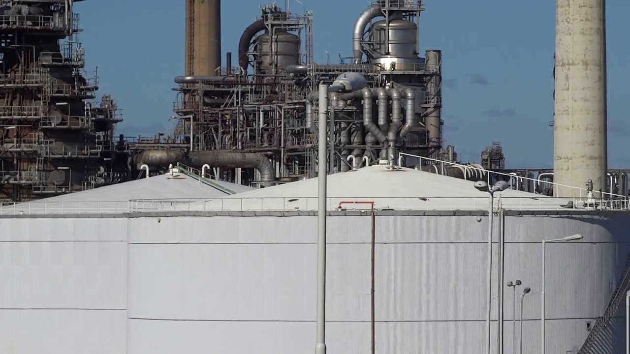 SHELL PERNIS - YouTube