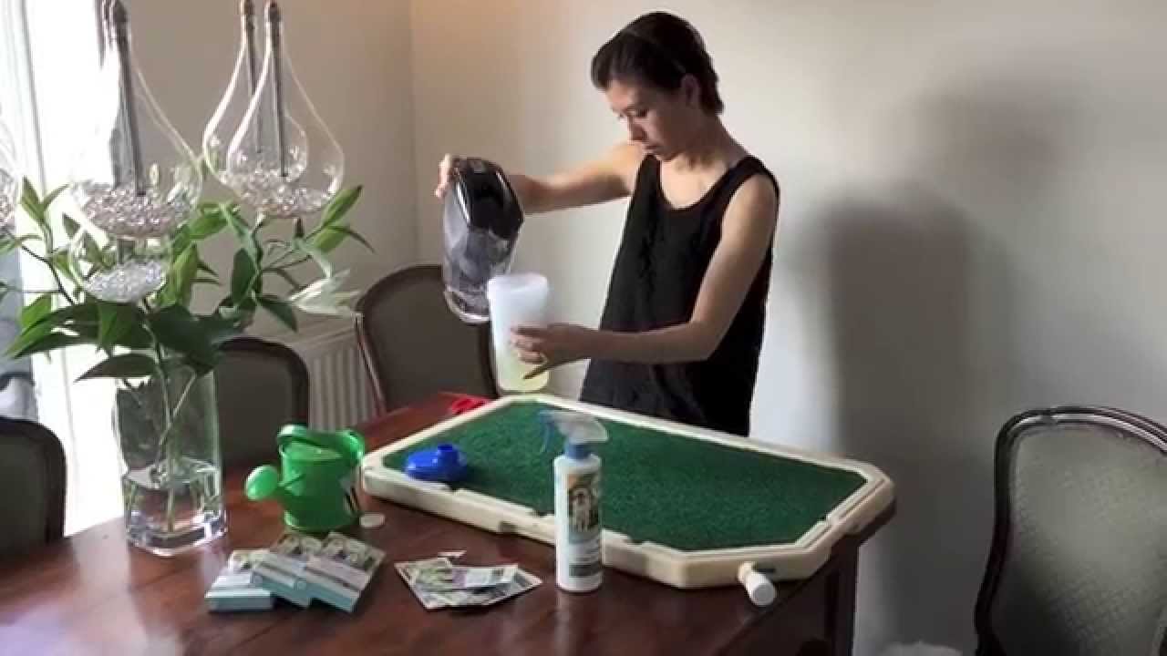 PP寵物廁所 － Setting up the Piddle Place - YouTube