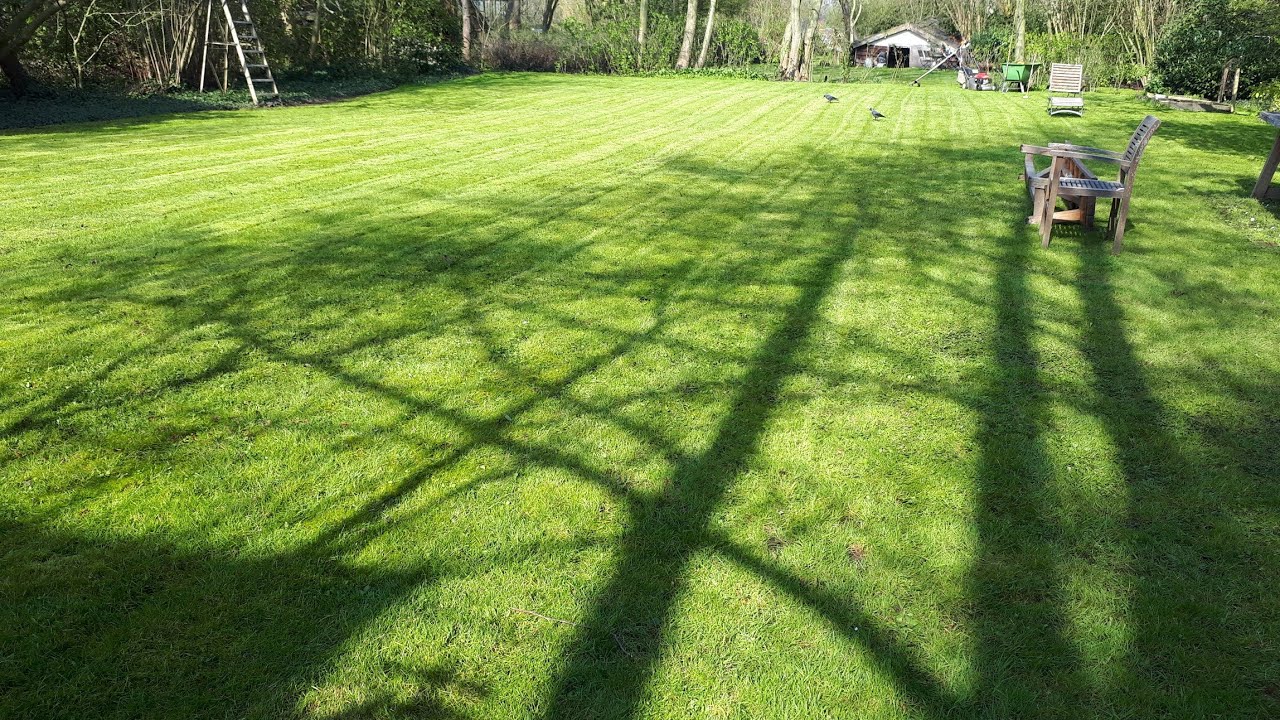 Mowing tall Grass, Edge up, Lawn Care, Cut Grass - YouTube