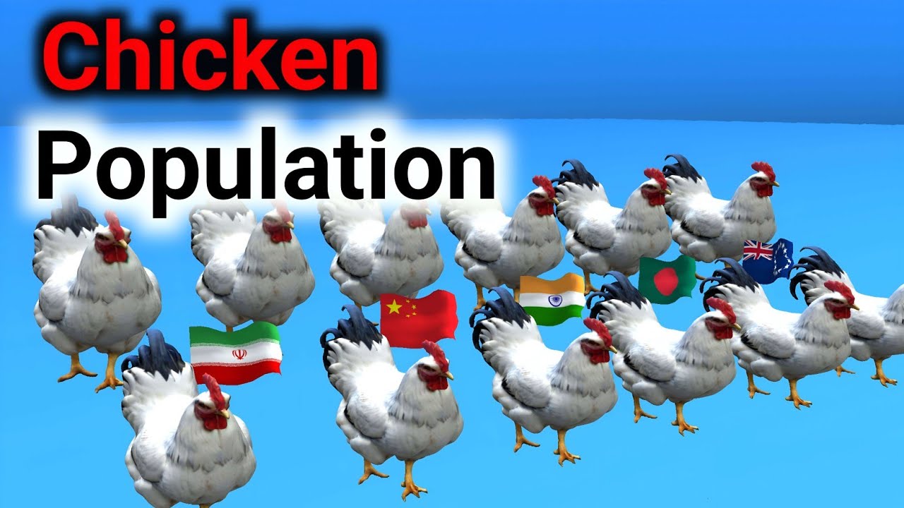 Chicken Population by Country 2025 - Top Producers Revealed - YouTube
