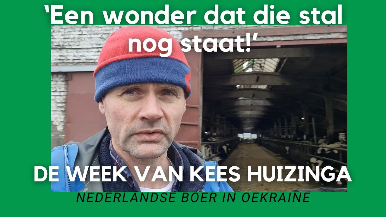 Oekraïne-vlogger Kees Huizinga: ‘Een wonder dat die stal nog staat ...