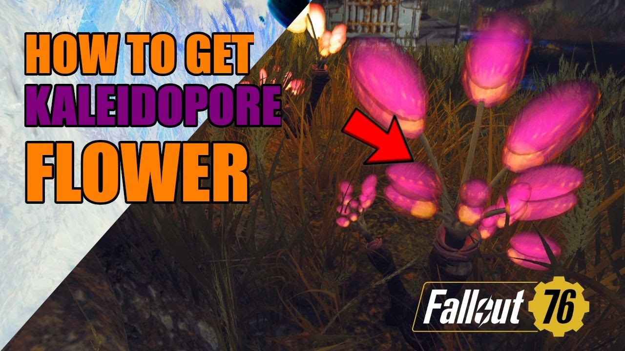 FALLOUT 76 - HOW TO FARM KALEIDOPORE FLOWERS - YouTube