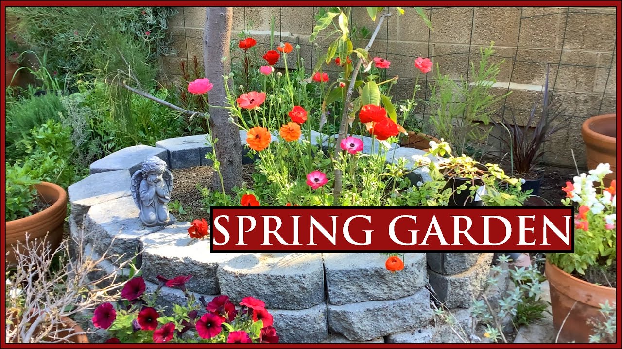 SPRING Garden Tour: A Garden Full Of Beautiful Flowers - YouTube