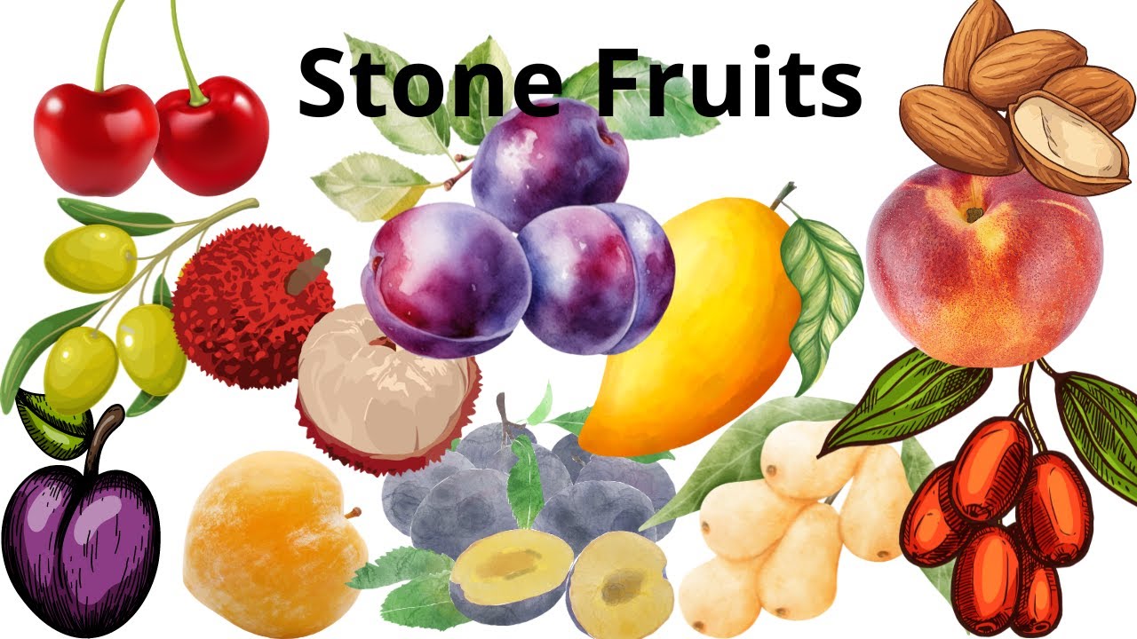 Stone Fruits| Stone Fruit Safari - Discover with Kids Storybook Cottage ...