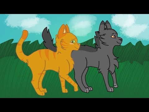 I Love a Boy Named Graystripe ~ Firestar X Graystripe PMV (CANCELLED ...
