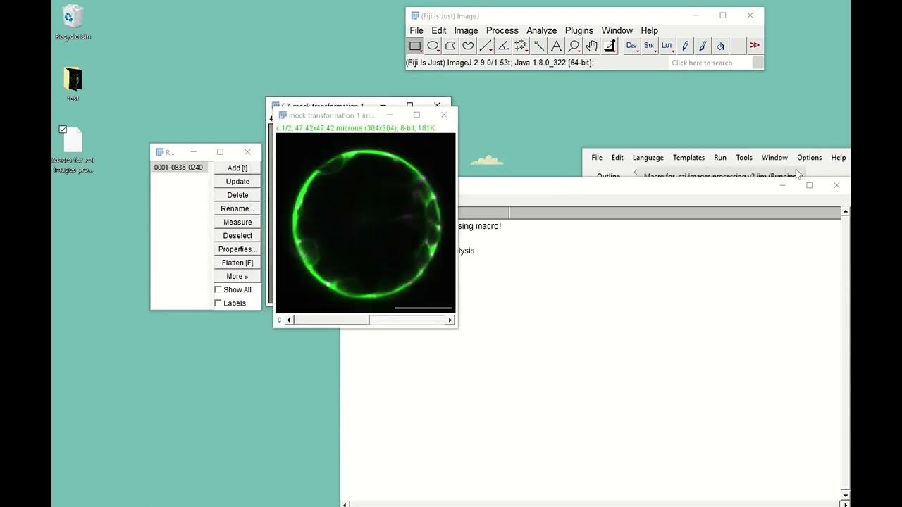 ImageJ macro for Carl Zeiss Image (.czi) file processing - YouTube