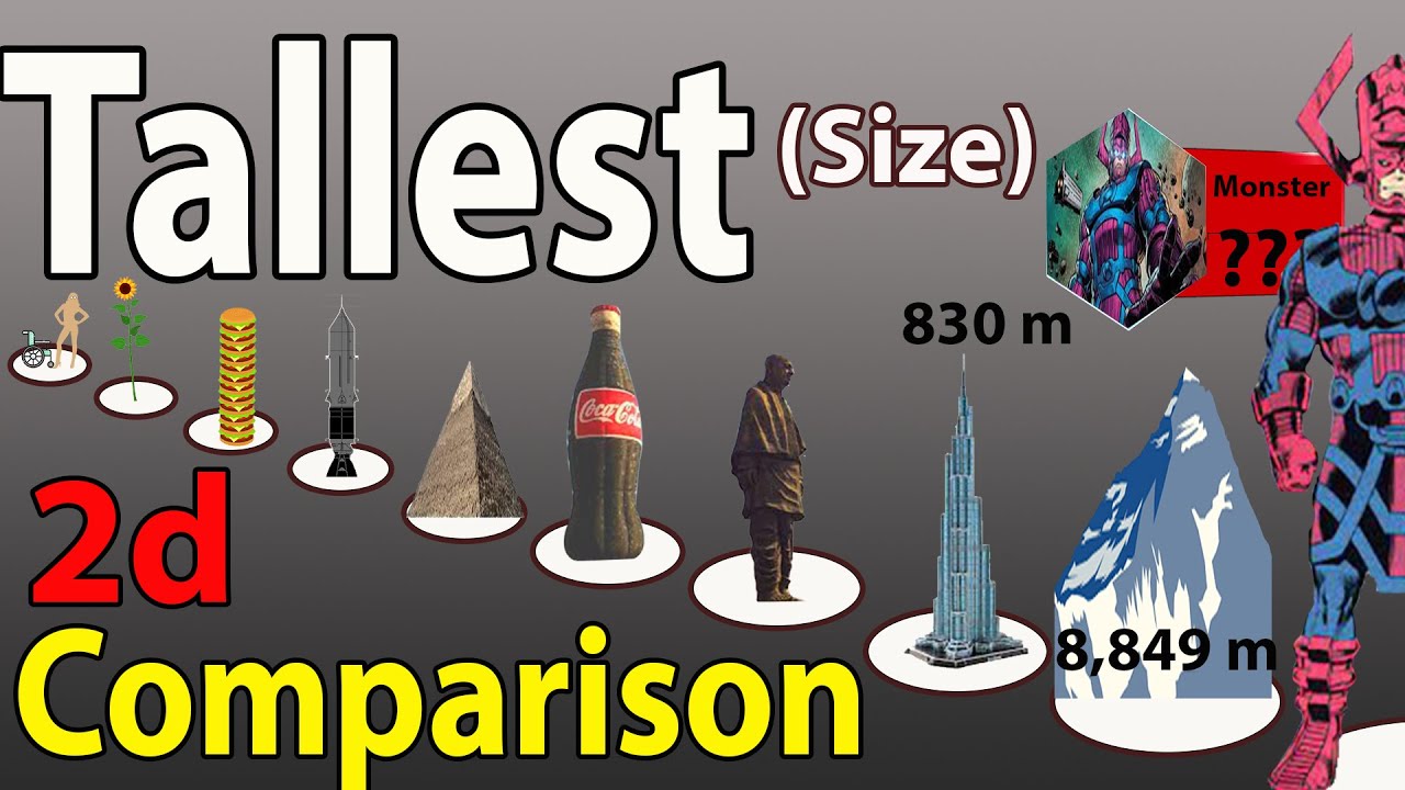 Tallest Size Comparison in 2023 | #HeightComparison - YouTube