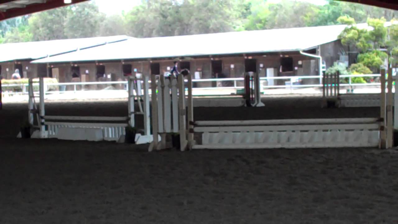 Hunter Equitation Over Fences - YouTube