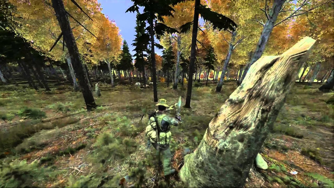 DayZ Standalone - Sosnovka Forest - YouTube